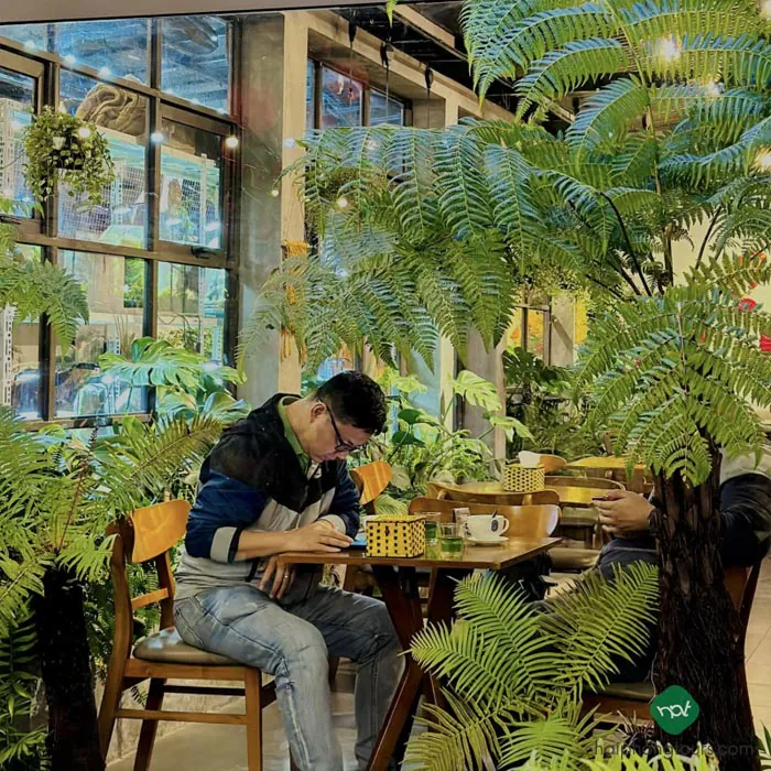 Top 10 Extremely Chill Cafe in Hai Phong for tourist | Hai Phong Tours